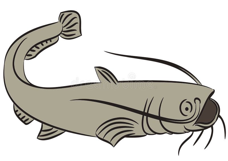 Illustration De Poisson-chat Sur Le Blanc Illustration de Vecteur ...