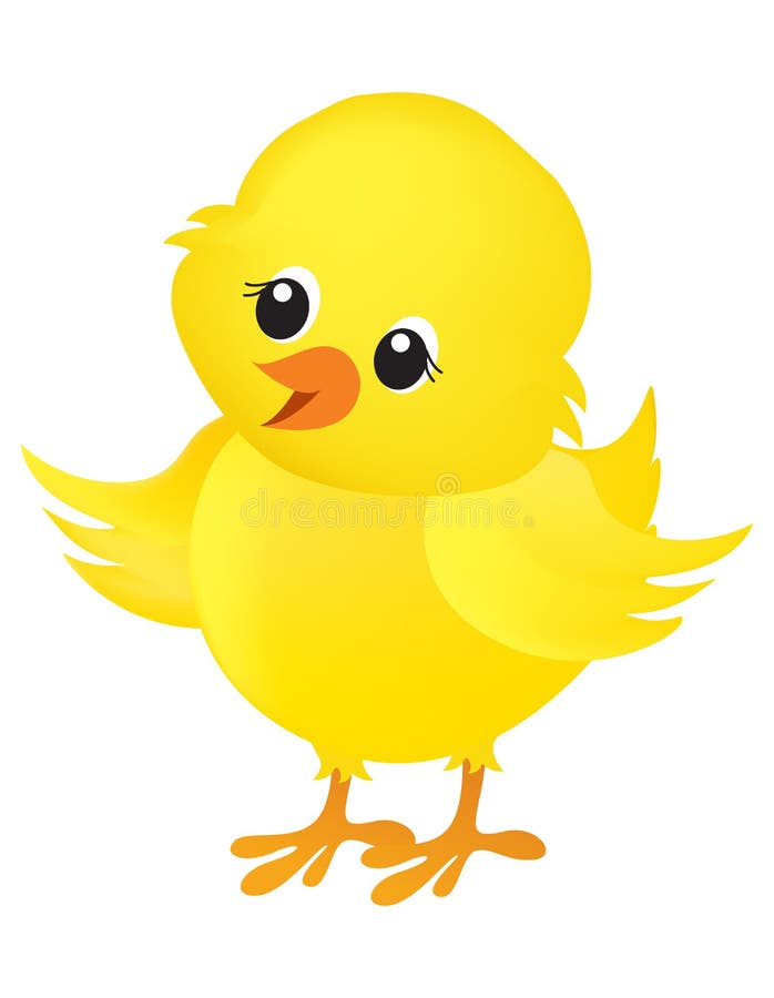 Illustration De Poussin Sur Le Blanc Illustration de Vecteur ...