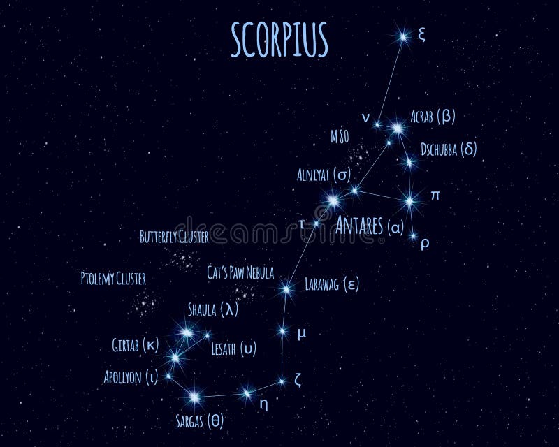 Le scorpius scorpion. illustration de vecteur. Illustration du ciel ... Le scorpius scorpion. illustration de vecteur. Illustration du ciel ...