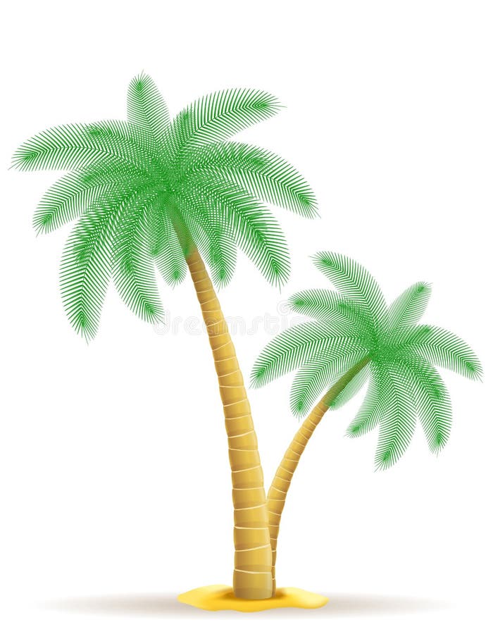 Illustration De Vecteur De Palmier Illustration de Vecteur ...