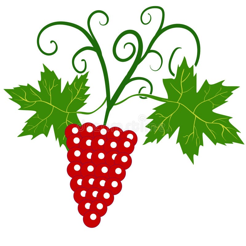 Illustration 11 De Vecteur De Raisins Rouges Illustration de Vecteur ...