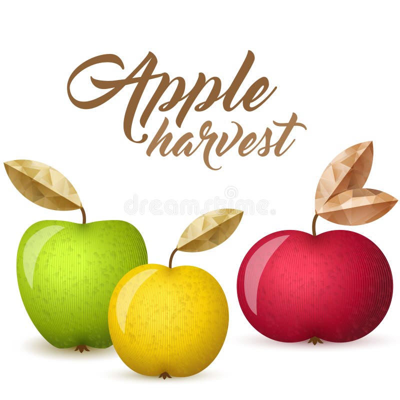 Illustration De Vecteur De Trois Pommes Rouges Illustration de Vecteur ...