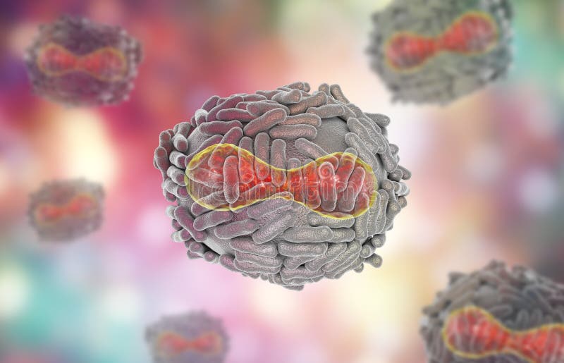 Le Virus De La Variole, Se Rapportent Aux Substances Biologiques Qui ...