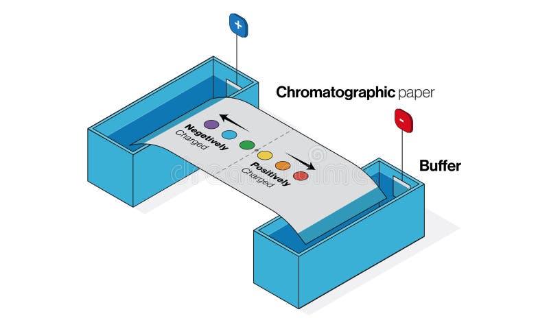 Illustration Depicting the Paper Chromatography Technique for ...