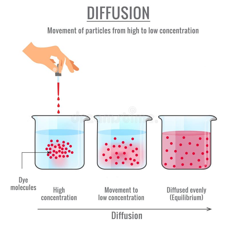 Illustration Depicting the Scientific Phenomenon of Diffusion Stock ...