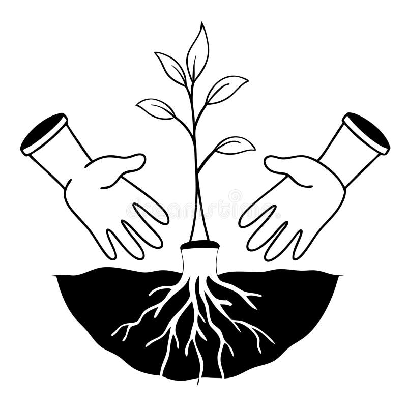 Hands Nurturing Young Plant with Roots Vector Illustration Stock Photo ...