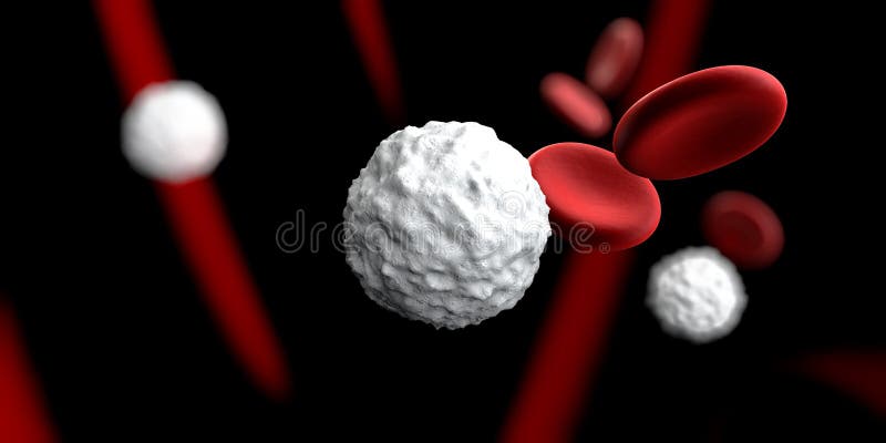Illustration Des Globules Rouges Blanches Et, Leucocytes, Maladie ...