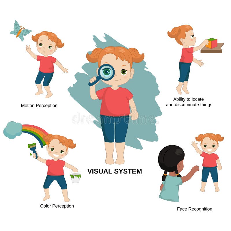 Perception sensorielle illustration de vecteur. Illustration du médical ...