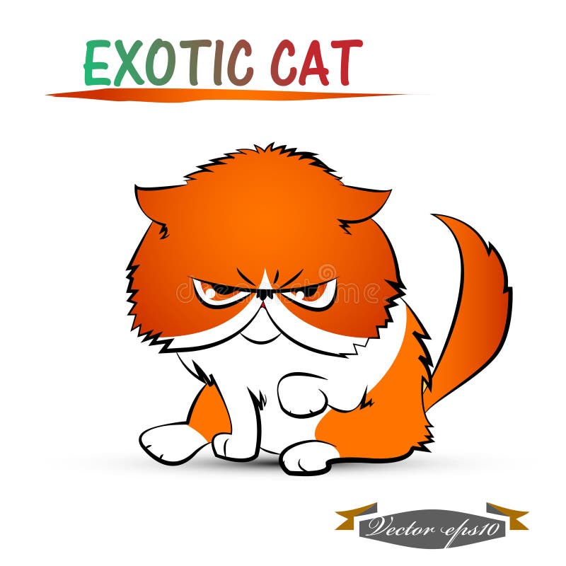 Illustration Design Vector of Exotic Cat Stock Vector - Illustration of ...