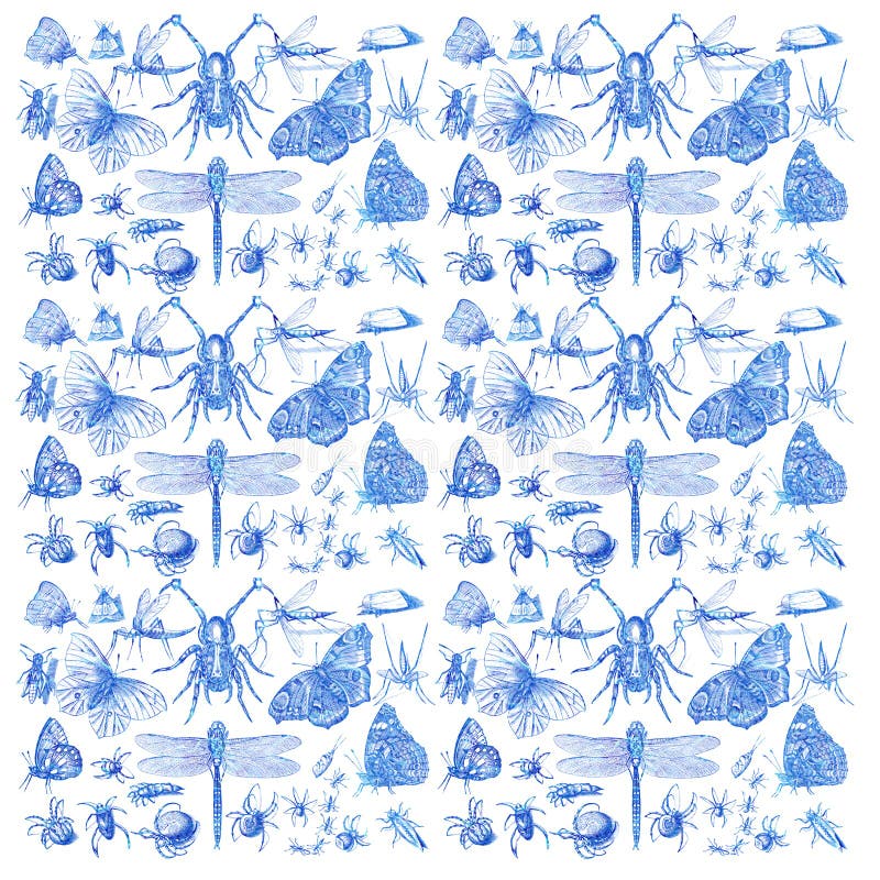 Illustration of Different Blue-colored Insects on a White Background ...