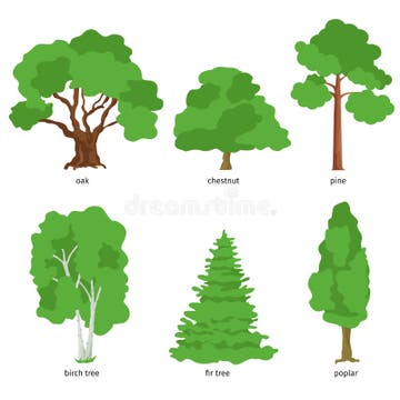Cartoon Gum Tree Background Stock Illustrations – 201 Cartoon Gum Tree ...