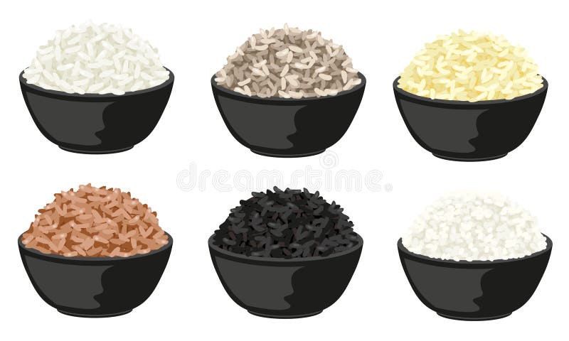 Rice Type Stock Illustrations – 1,138 Rice Type Stock Illustrations ...