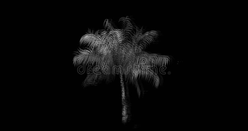 Illustration of Distorted Palm Tree Isolated Against Black Background ...