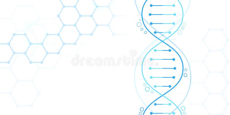 Illustration of a DNA Molecule on a White Background with Hexagonal ...