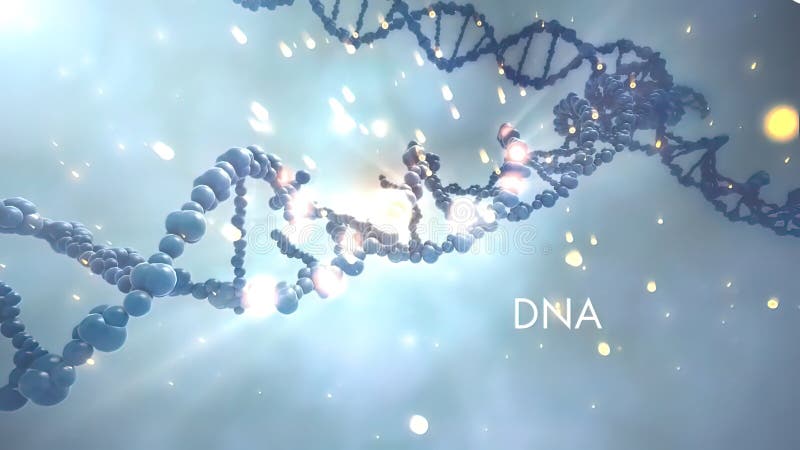 Illustration DNA Molecules with Antiparallel Structure Stock ...