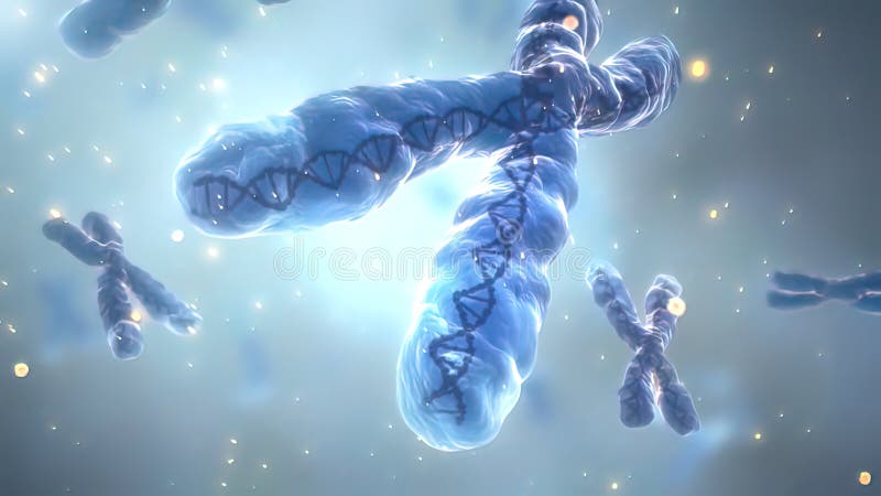 Illustration DNA Molecules with Antiparallel Structure Stock ...