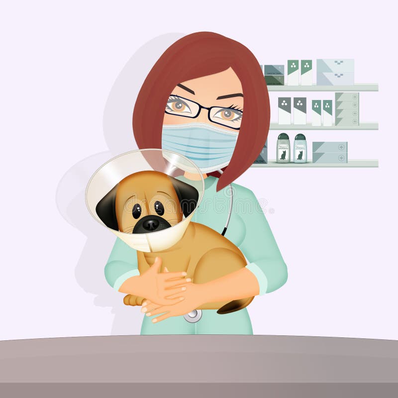 Spaying and Neutering Pet RGB Color Icon Stock Vector - Illustration of ...