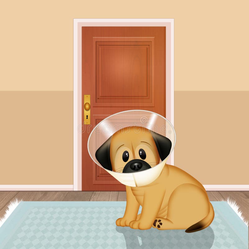 Illustration of dog funnel stock illustration. Illustration of collar ...