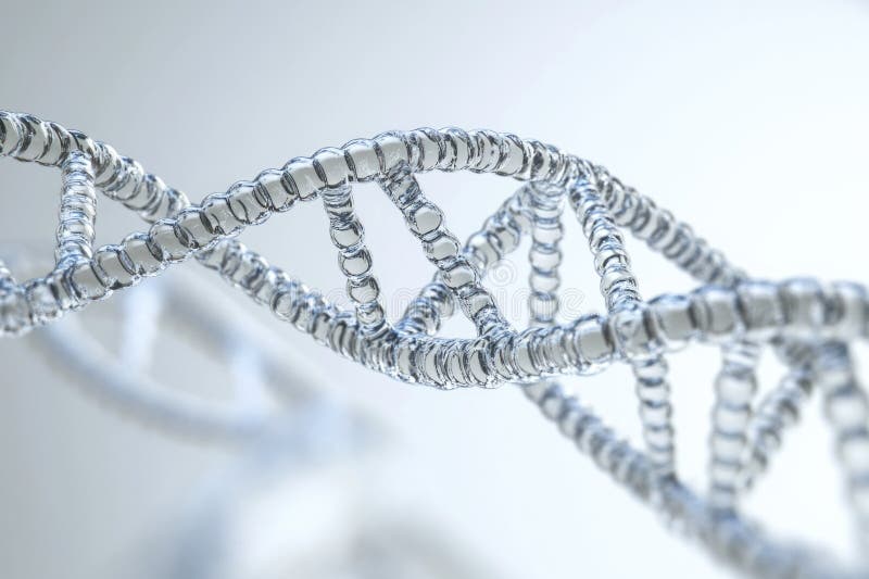 Illustration of the Double Strand of DNA Stock Illustration ...