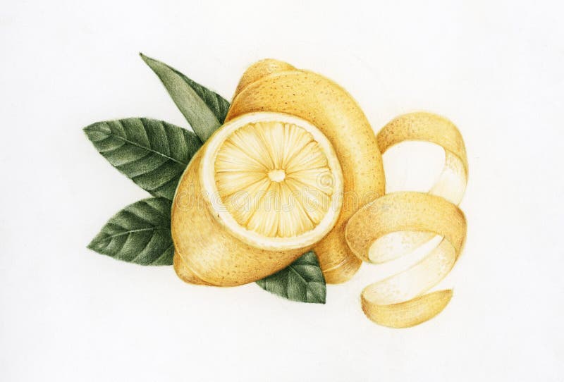 Squeeze Lemon Juice Hand Stock Illustrations – 239 Squeeze Lemon Juice ...