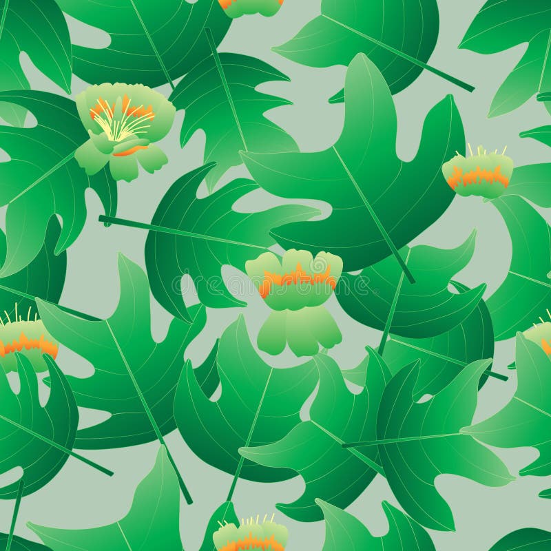 Tulip Tree Leaf Flower Seamless Pattern Stock Vector - Illustration of ...