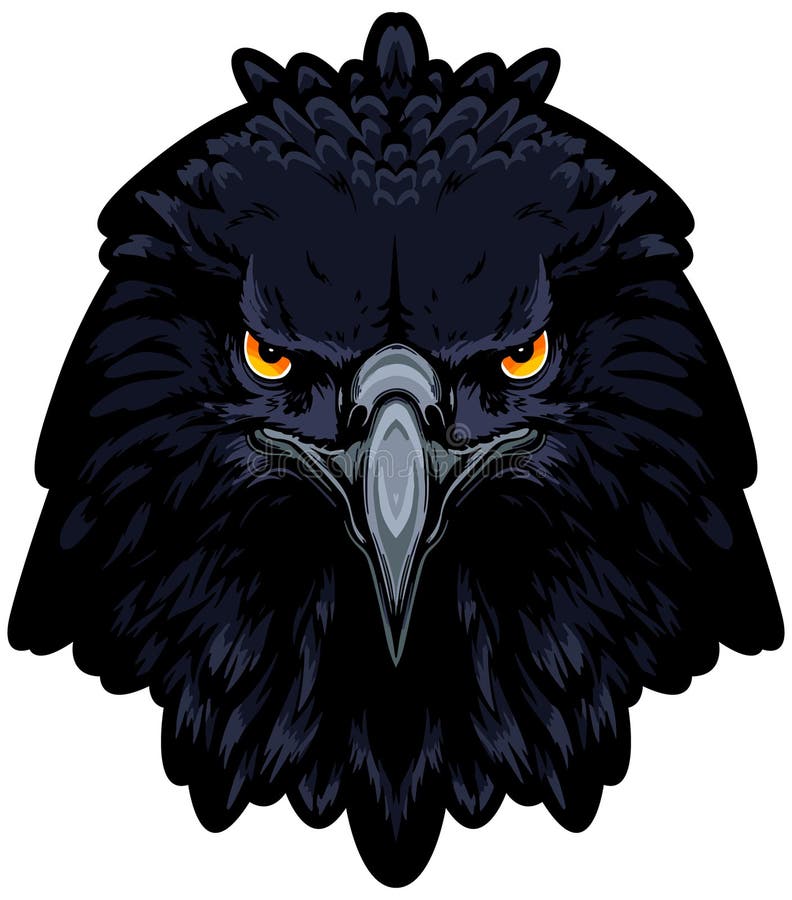 Cartoon Eagle Fly Sky Stock Illustrations – 579 Cartoon Eagle Fly Sky ...