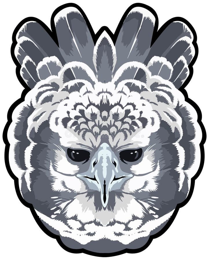 Eagle Face Illustration. Sky. Fly. Vector Stock Vector - Illustration ...