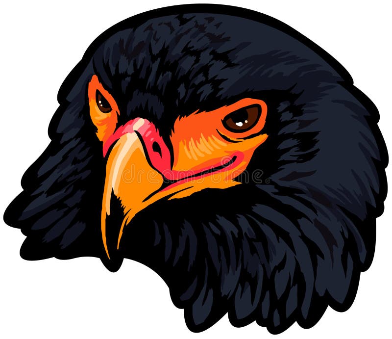 Cartoon Eagle Fly Sky Stock Illustrations – 579 Cartoon Eagle Fly Sky ...