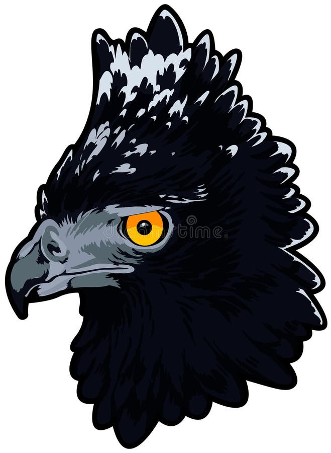 Cartoon Eagle Fly Sky Stock Illustrations – 579 Cartoon Eagle Fly Sky ...