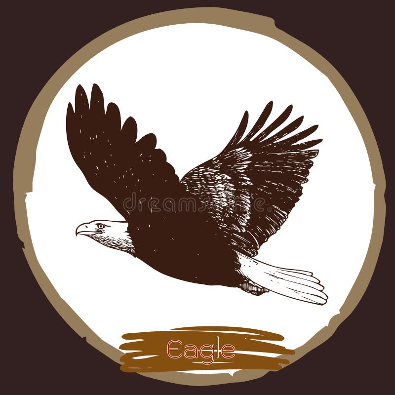 Illustration of Eagle, Hawk Bird Stock Vector - Illustration of glove ...