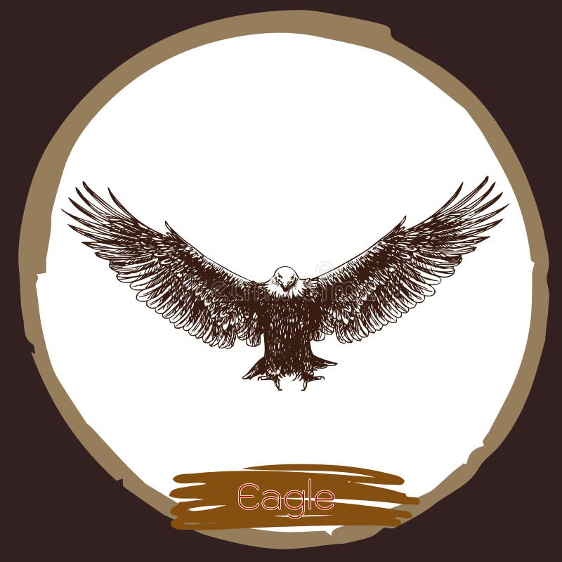 Illustration of Eagle Claw, Hawk Bird Stock Vector - Illustration of ...