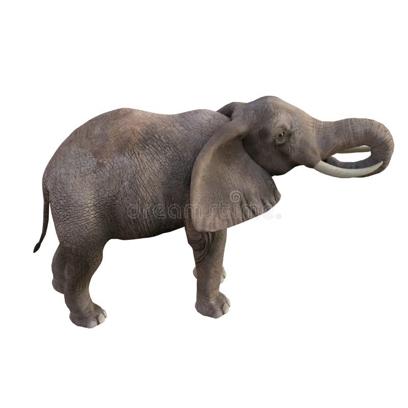 Illustration of an Elephant in Different Poses and Angles for Collage ...