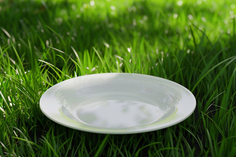 Empty Plate on a Wooden Table, Arts & Architecture, Indoor Stock ...
