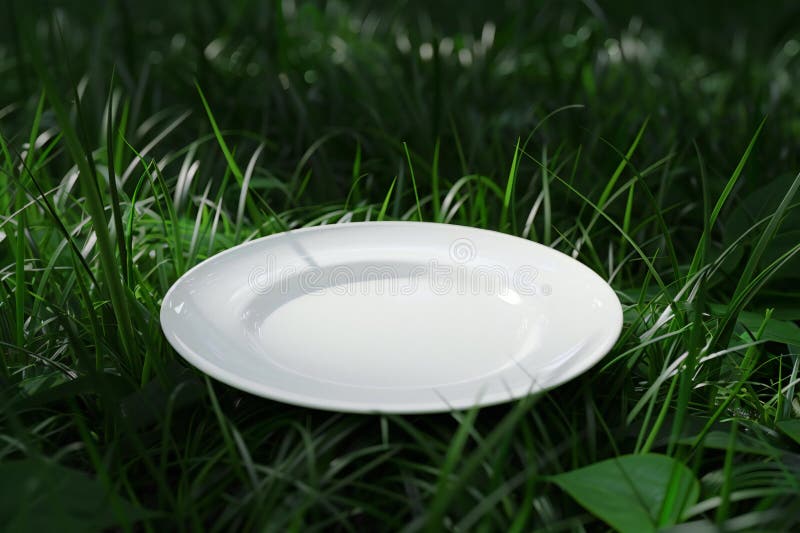 Empty Plate on a Wooden Table, Arts & Architecture, Indoor Stock ...