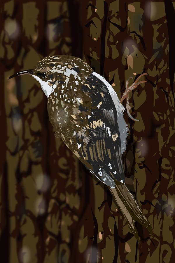 Illustration of a Eurasian Treecreeper Stock Photo - Image of heritage, wood: 390390762