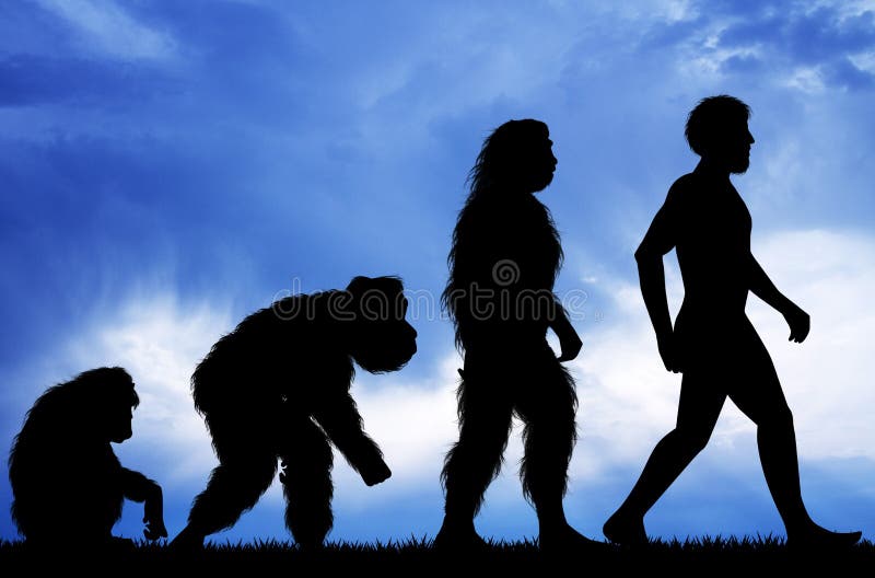 Illustration of Evolution Human Stock Illustration - Illustration of ...