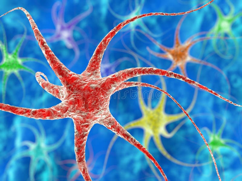 Nervcell stock illustrationer. Illustration av autoimmune - 64908871