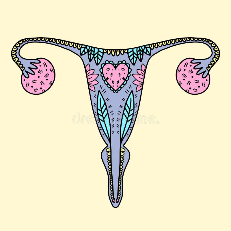 Illustration Of The Female Reproductive System Stock Vector