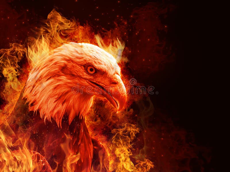 Fire Eagle Yellow Background Stock Illustrations – 68 Fire Eagle Yellow ...