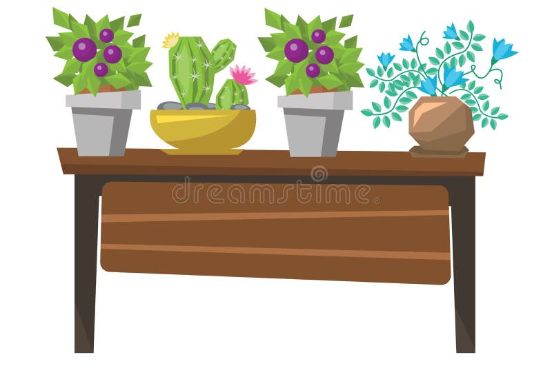 Illustration of Five Plant Arranged in the Table Stock Vector ...