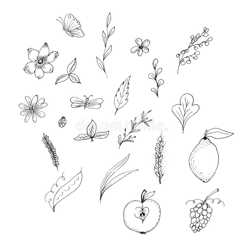 Illustration of Flower Element Pattern Stock Illustration ...