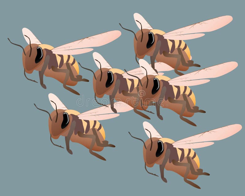 Illustration of a Flying Bees Stock Illustration - Illustration of ...