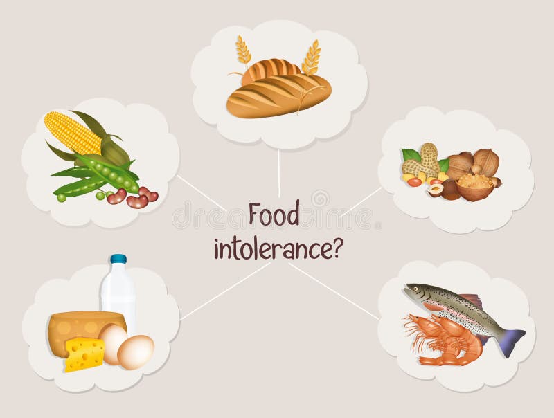 Food intolerance stock illustration. Illustration of allergy - 80340239