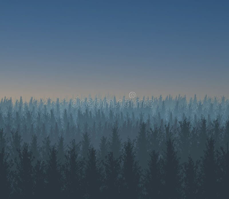 Forest at Sunset Illustration Stock Illustration - Illustration of ...