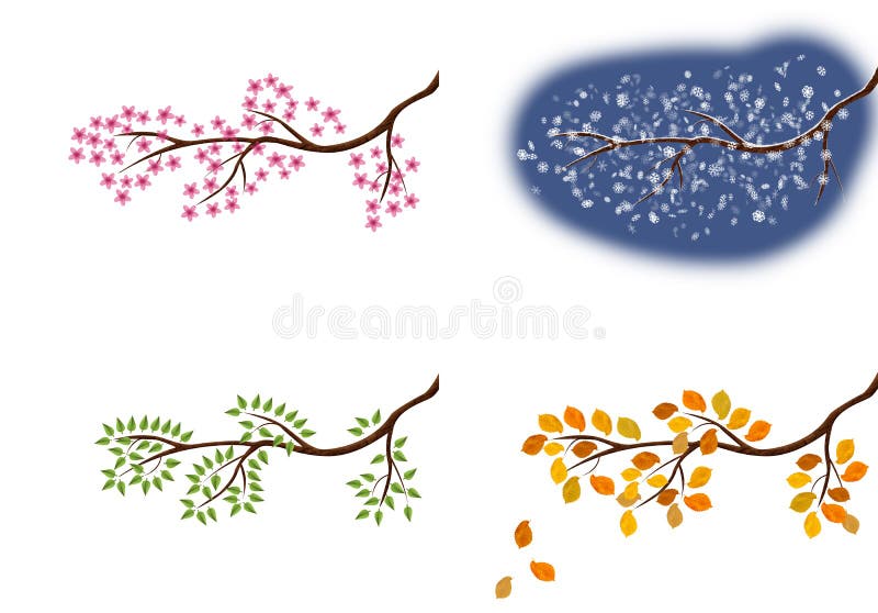 Illustration of the Four Season, Tree Branches with Different Looks for ...