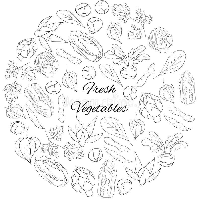 Illustration with Fresh Vegetables Stock Vector - Illustration of ...