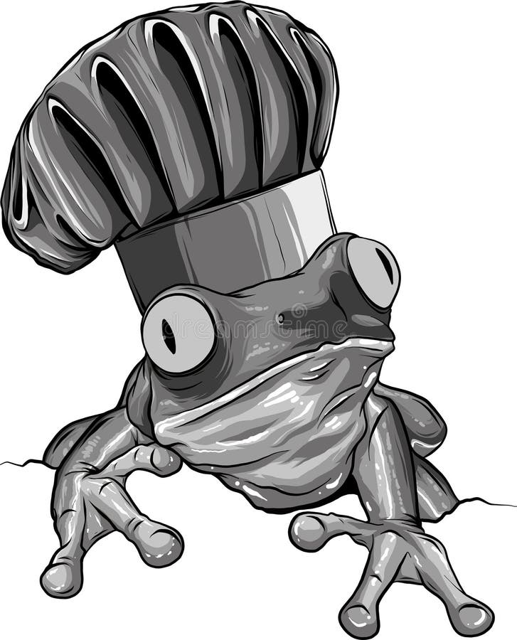 Cartoon Frog Cook Stock Illustrations – 54 Cartoon Frog Cook Stock ...