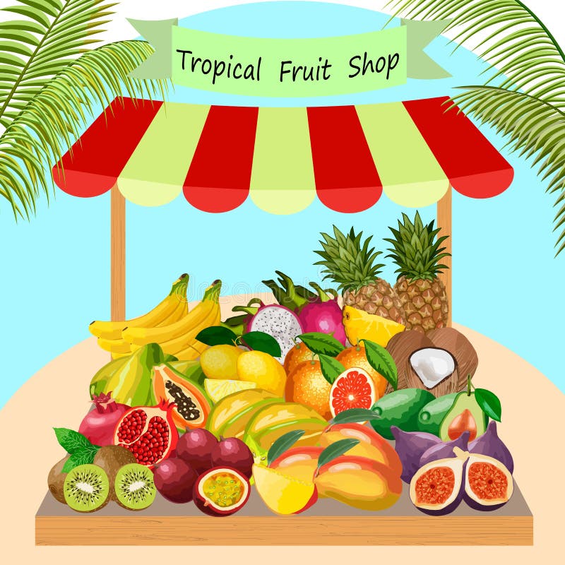 Illustration with Fruits on the Counter. Stock Vector - Illustration of ...