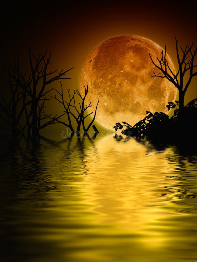 Beautiful Moon Scenery
