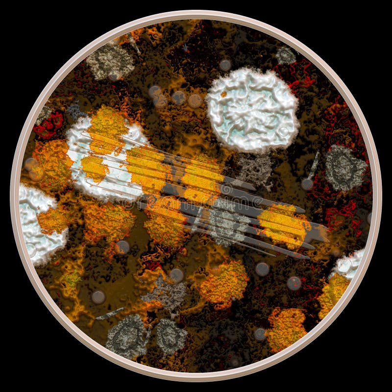 227 Black Mold Petri Dish Stock Photos - Free & Royalty-Free Stock ...